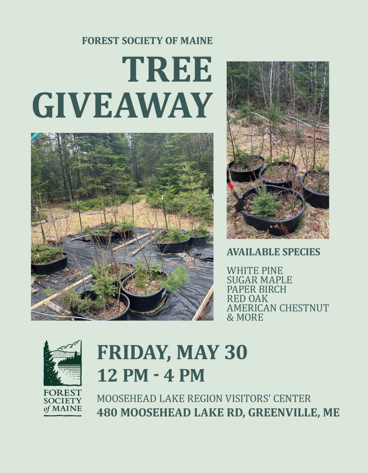 Tree Giveaway Day